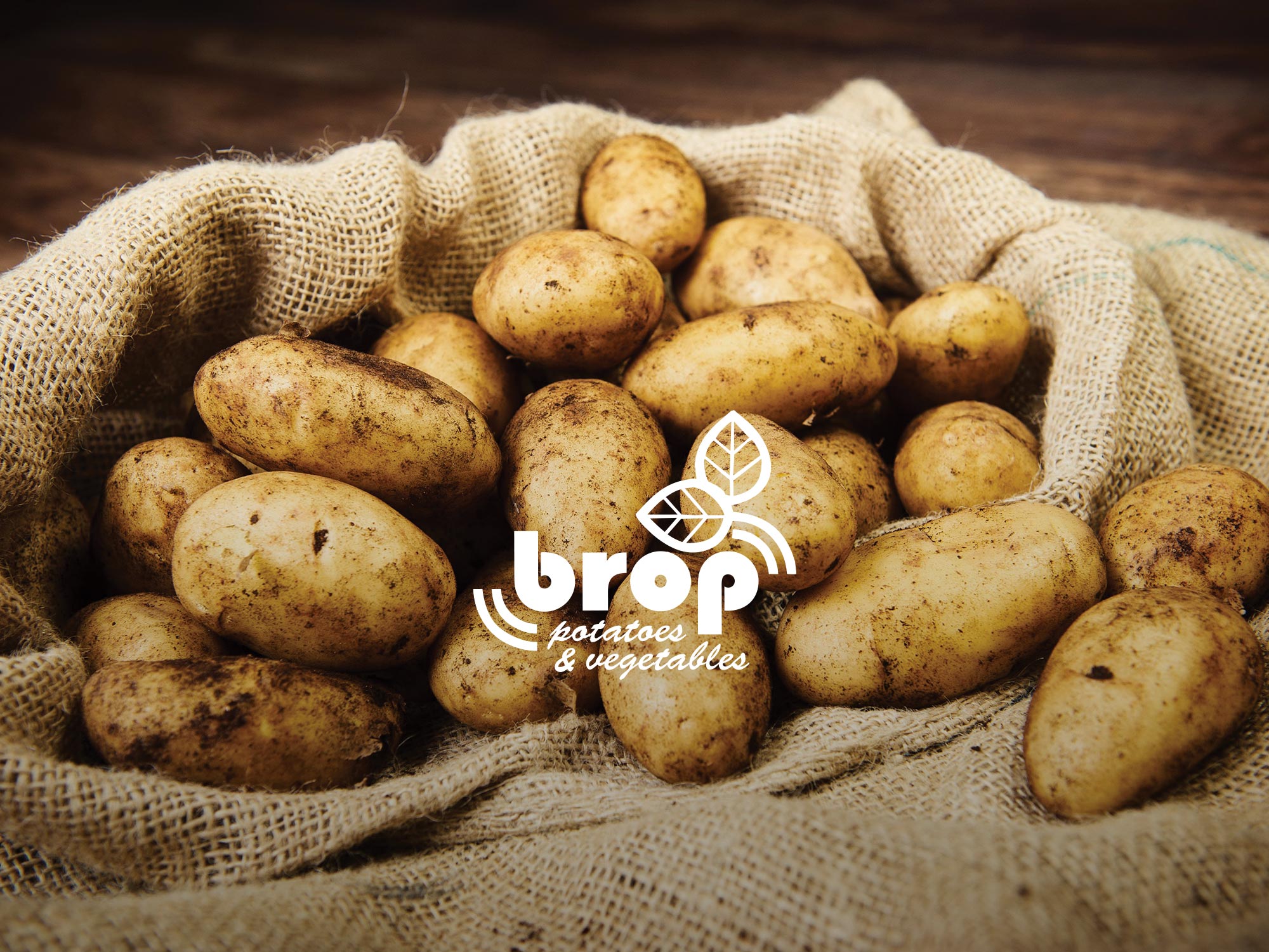 Odrůdy brambor – BROP Pelhřimov